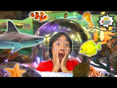 Ryan's Adventure at the Aquarium with Family!