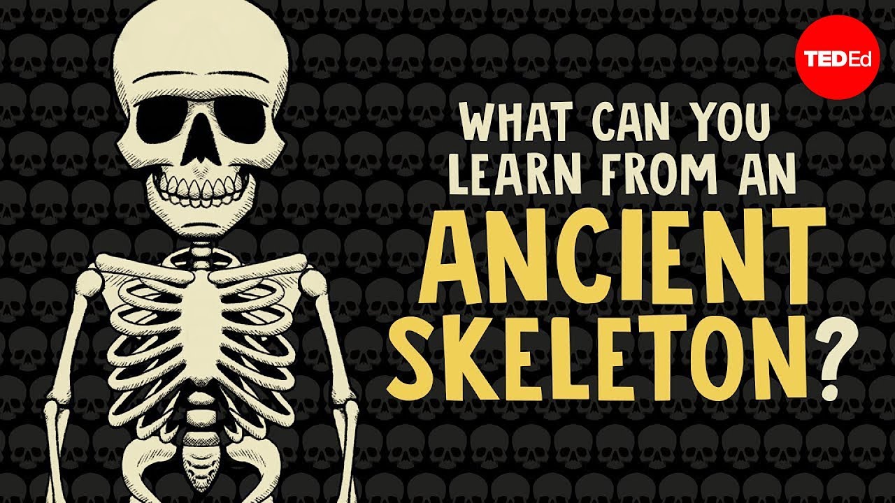 What can you learn from ancient skeletons? - Farnaz Khatibi
