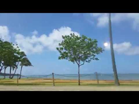 Living 808 (Oahu Hawaii) 1