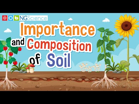 Importance and Composition of Soil