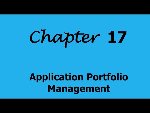 Application Portfolio Management