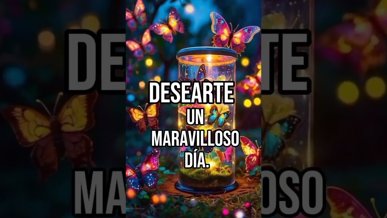 HOLA AQUÍ ESTOY #reflexionesdeldia #amor #frases #mensajes #buenosdias #buenosdías #buenosdiasamor