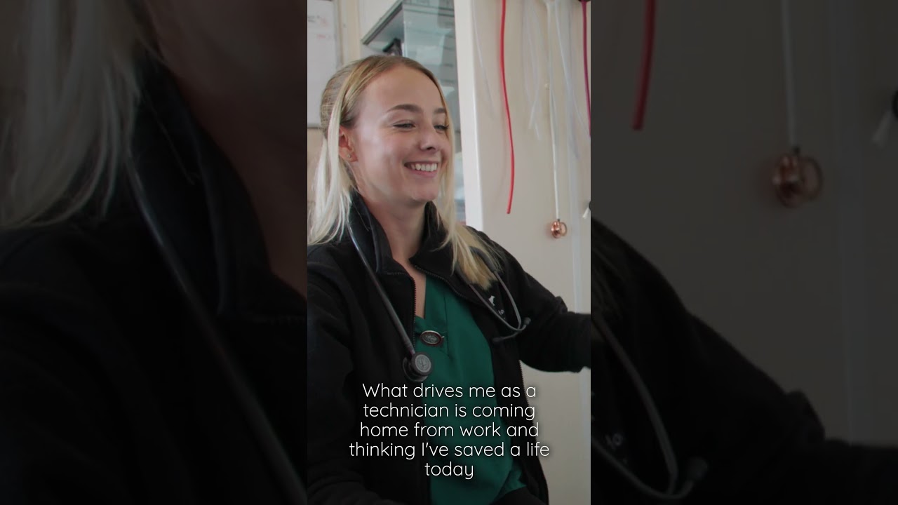 Work with animals as a Veterinary Nurse Technician