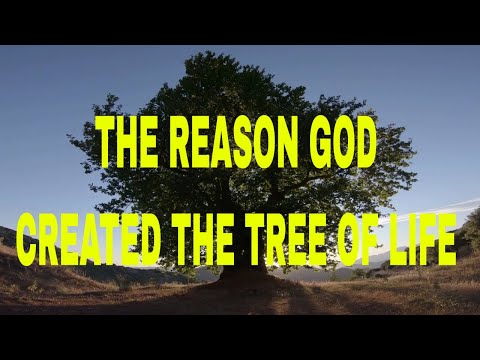 Why did God create the tree of life? – La început era Cuvântul.