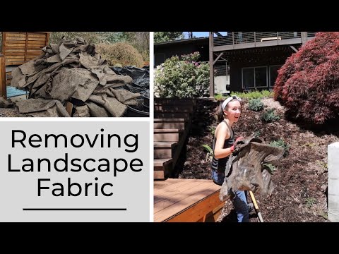 One Piece at a Time: How & Why I Removed My Landscape Fabric 6 Years Later