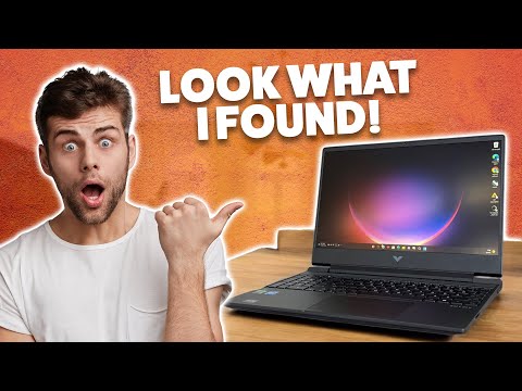 I Bought 13 HP Laptops - Which One Is the BEST of 2025?