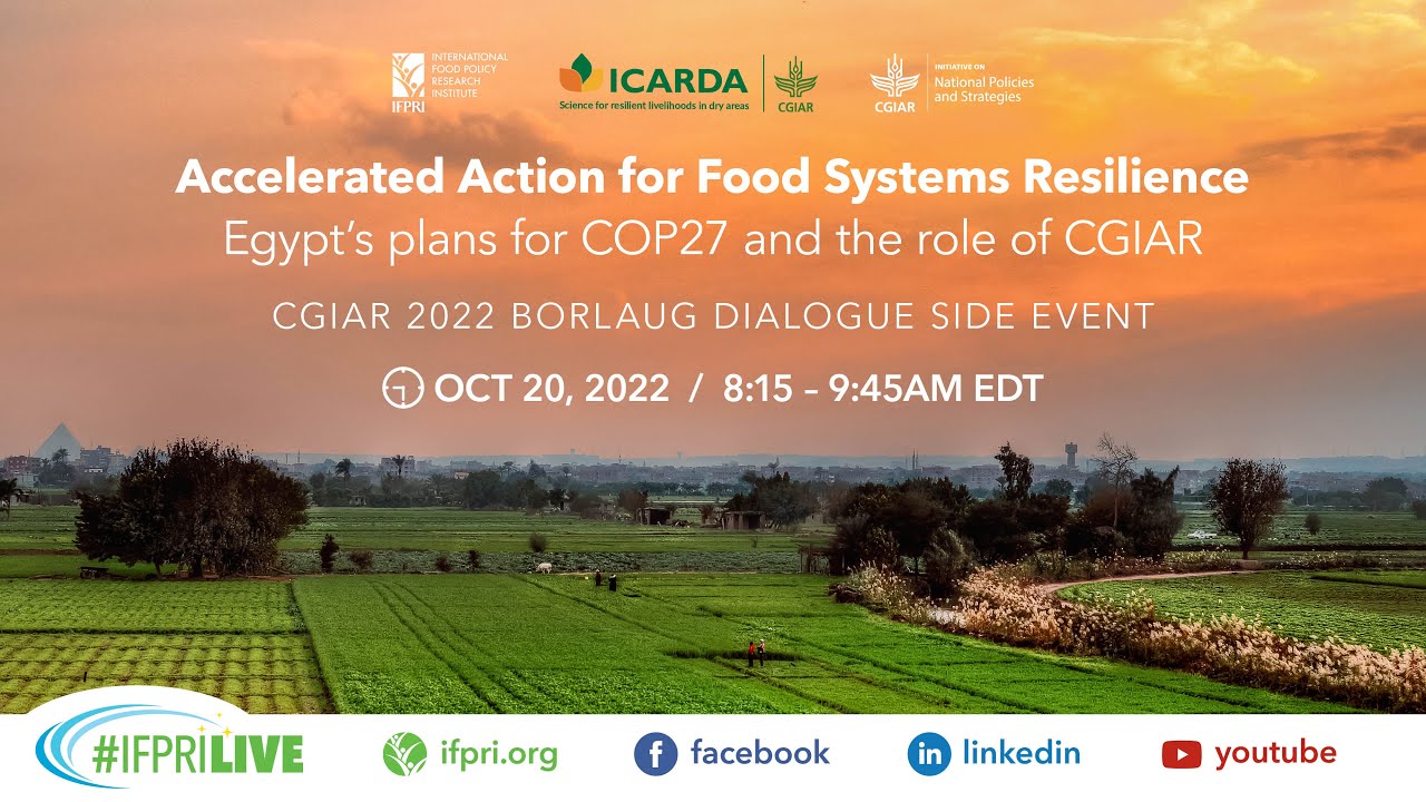 Accelerated Action for Food Systems Resilience: Egypt’s plans for COP27 and the role of CGIAR