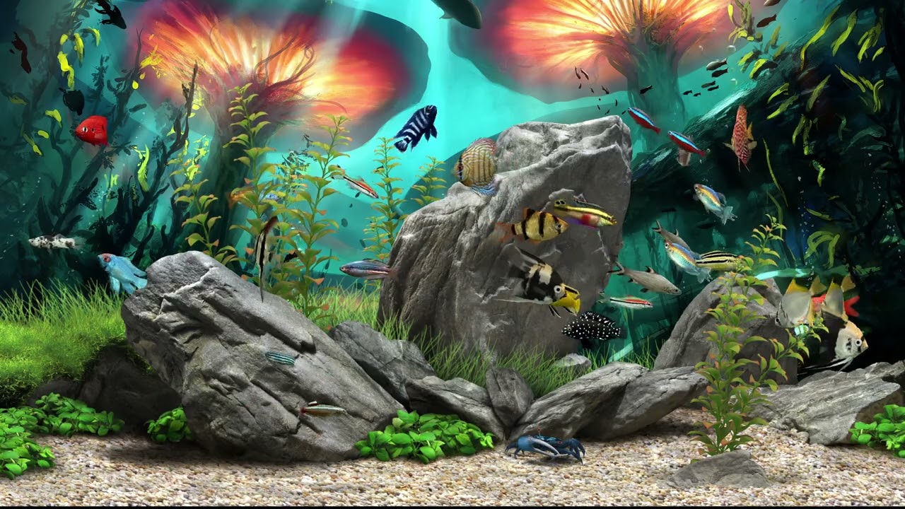Baobab Sea Trees (4K UHD60) Wallpaper Background Digital Fish Aquarium Relaxing Screensaver