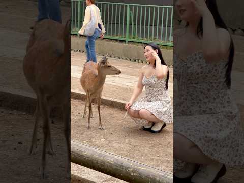 Cutest Vlog! Girls Playing with Deer & Capturing Magical Photos πΈπ¦π