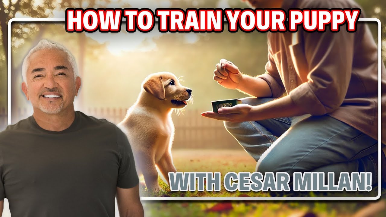 How To Train A Puppy -- Happy National Puppy Day!