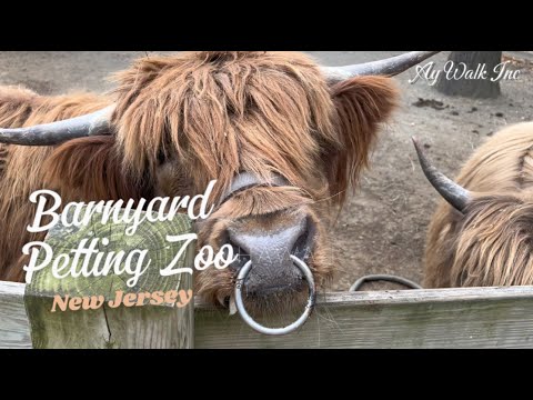 Barnyard Petting Zoo| New Jersey, USA| April, 2024