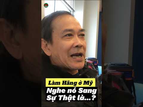 Làm Hãng ở Mỹ Nghe Sang lắm, Sự Thật Là Gì? Dương Trung Hiếu Official