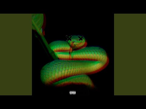 Snake's Death