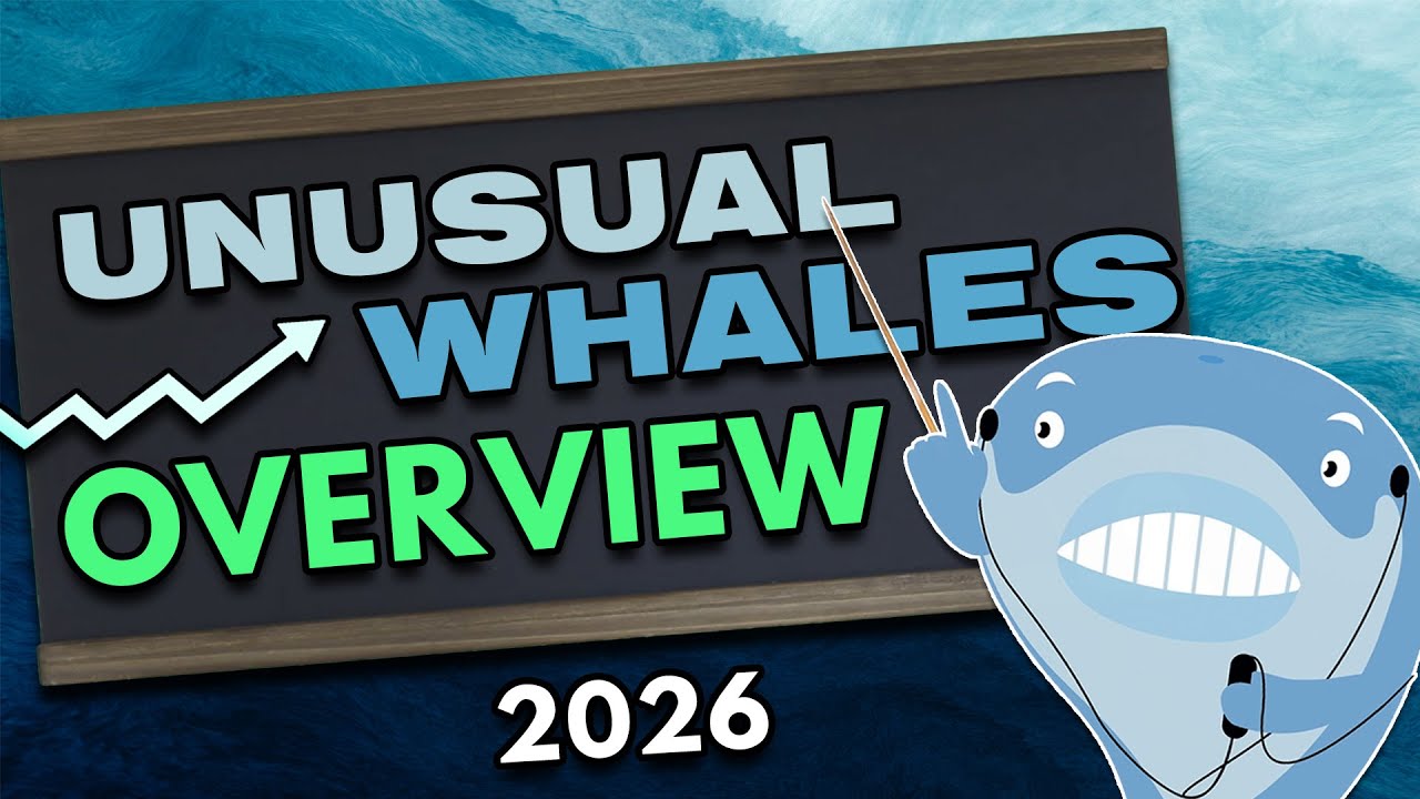 Unusual Whales Platform Overview