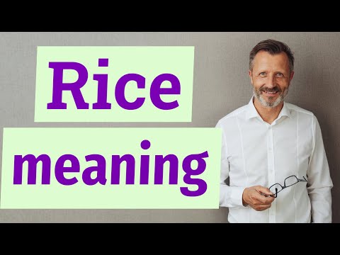 Rice | Meaning of rice