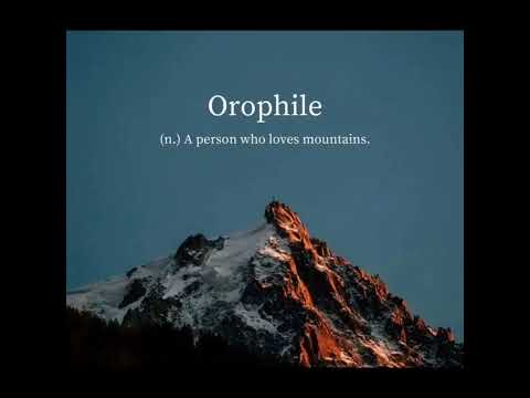 Which type of phile are you🍃?#philes#type