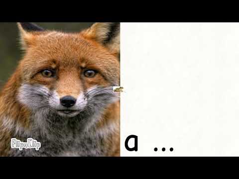 training exercise L 18: words starting with "f"