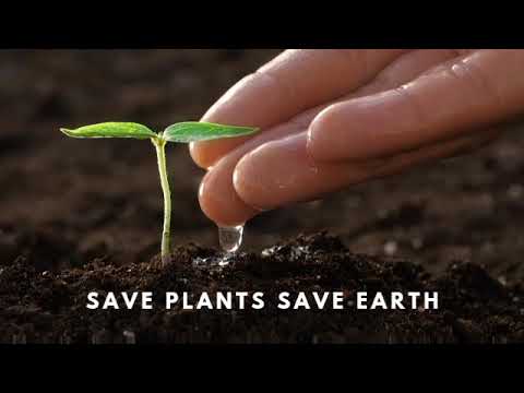 Earth Day Status || Earth Day2023 || World Earth Day 2023 theme ||World Earth Day 2023 #earthday