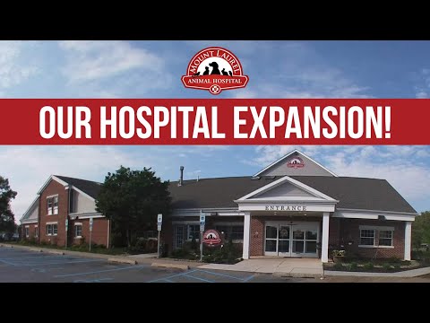 Our New Veterinary Hospital Expansion!