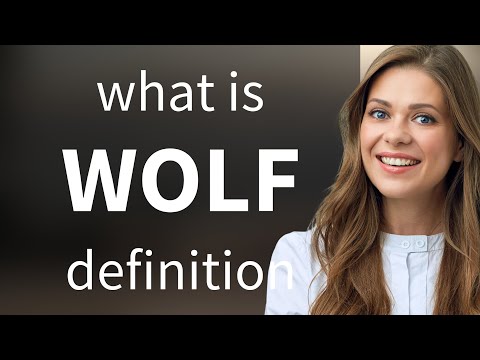 Wolf — WOLF definition