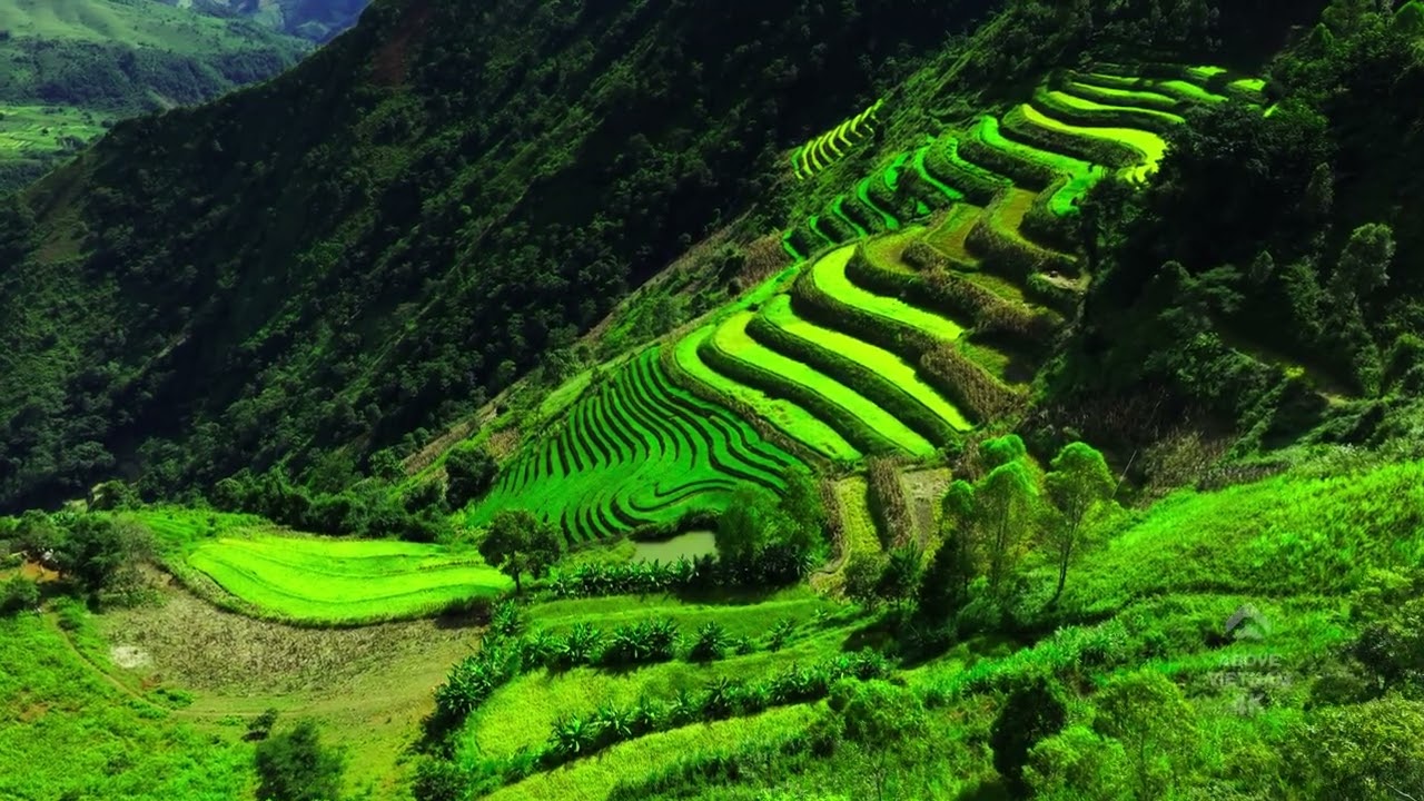 Thảo Nguyên Tà Xùa