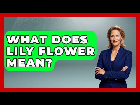 What Does Lily Flower Mean? - The Plant Enthusiast
