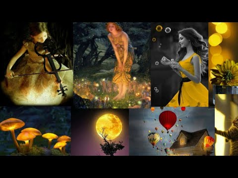 amazing nature yellow color images 🌻🌼💛🌙🌕 /wallpapers /whatsapp status dp /relaxing music.