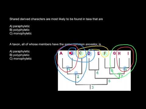 Concepts of Monophyletic, Paraphyletic, Polyphyletic groups