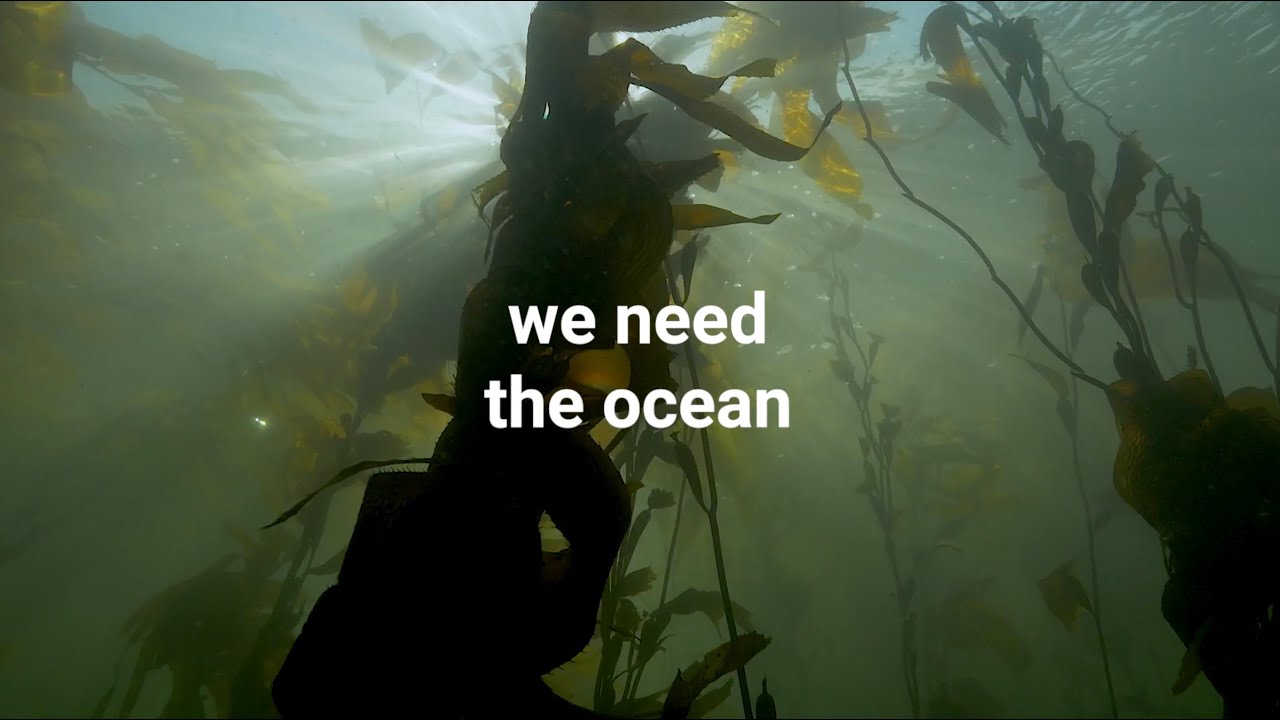 We need the ocean, the ocean needs us