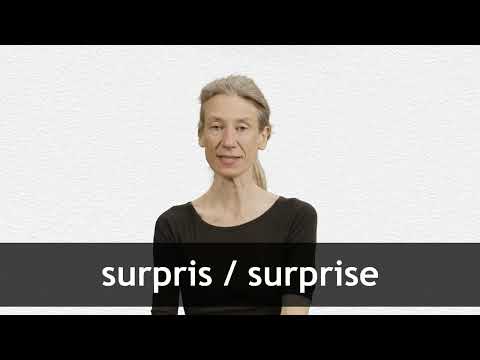 English Translation of “SURPRIS” | Collins French-English Dictionary