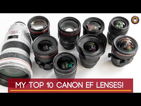 The Best Lenses for Canon