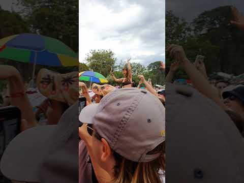 glimpse of melbourne music festival