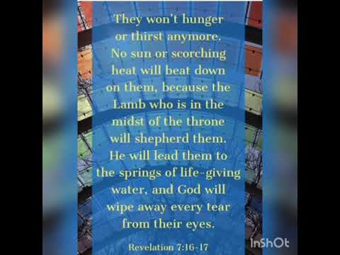 Today's bible verse| Revelation 7 :16-17 | 01.11.2020