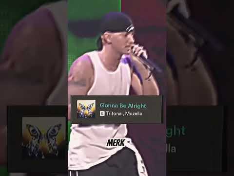 Mockingbird but using different words for the lyrics #mockingbird #music #rap #edit #lyrics #eminem