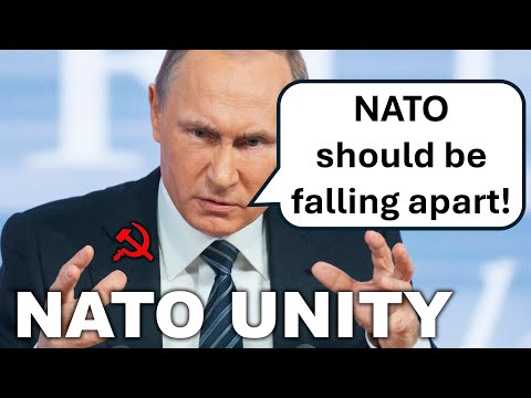 Good News for Ukraine at NATO Summit!
