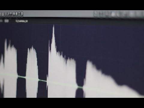 Image Line Edison Audio Editor (Download) | Reverb