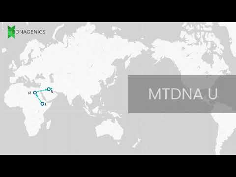MTDNA U - DNAGENICS
