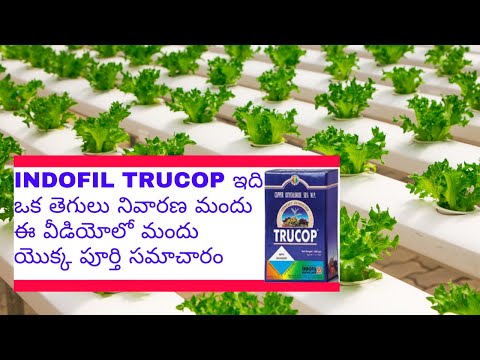 Indofil Fungicides - Latest Price, Dealers & Retailers in India
