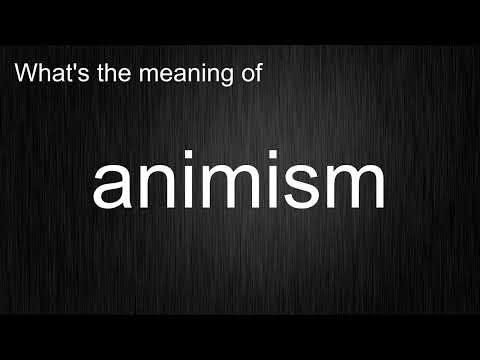 What's the meaning of "animism", How to pronounce it?