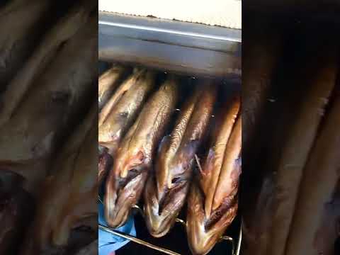 Frisch gesmokte Forellen aus dem Helia Smoker