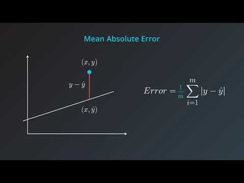 53 Mean Absolute Error