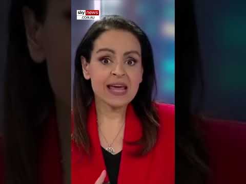 ‘Dim-witted’ MSNBC host ‘doesn’t use the term illegal immigrant’