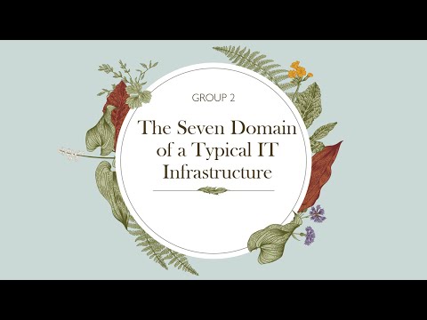 THE SEVEN DOMAIN OF A TYPICAL IT INFRASTRUCTURE