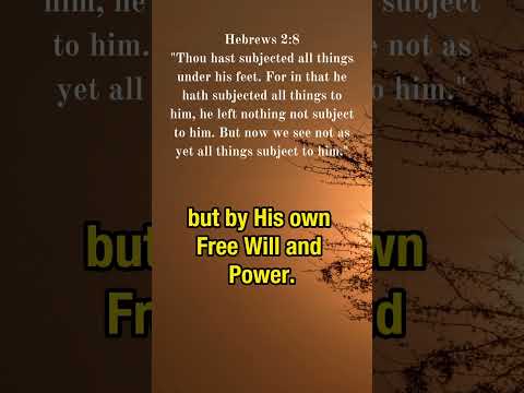 Hebrews 2:8 - Church Fathers/Biblical Scholars' interpretation
