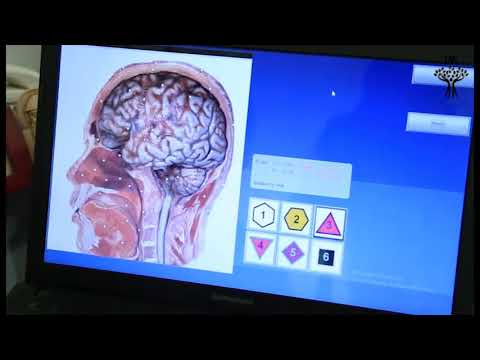 Bioresonance Therapy - DAK