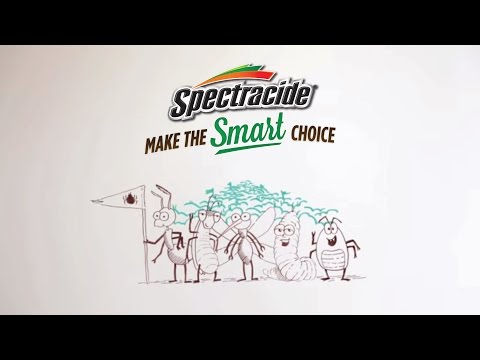 Spectracide® Triazicide® Insect Killer | Make the Smart Choice