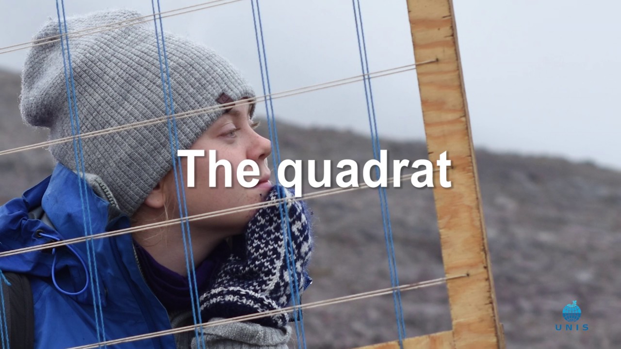 How to preform a vegetation analysis in the Arctic, using a quadrate