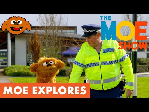 Moe Explores – Road Safety – Easy Peasy All-in-One Homeschool