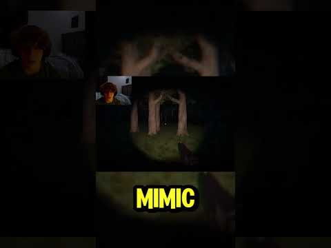 What is a Mimic?