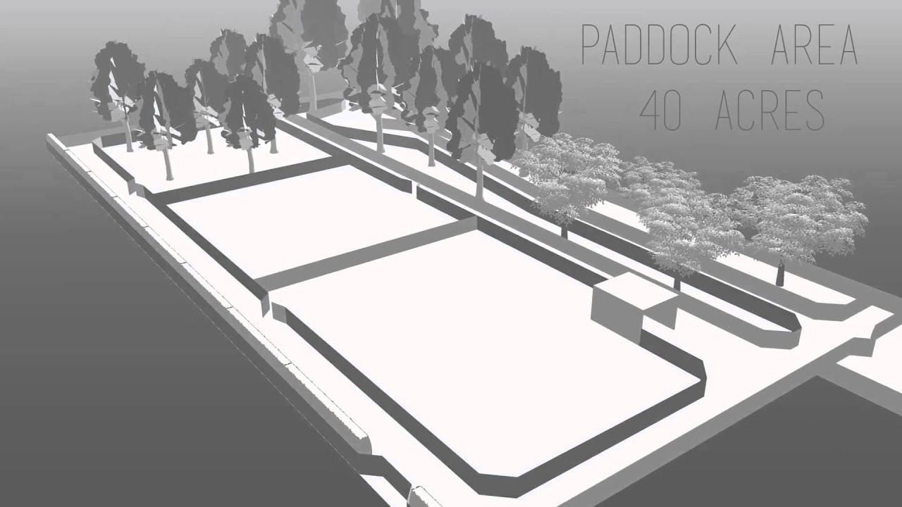 PADDOCK PARADISE 1.0 The future...